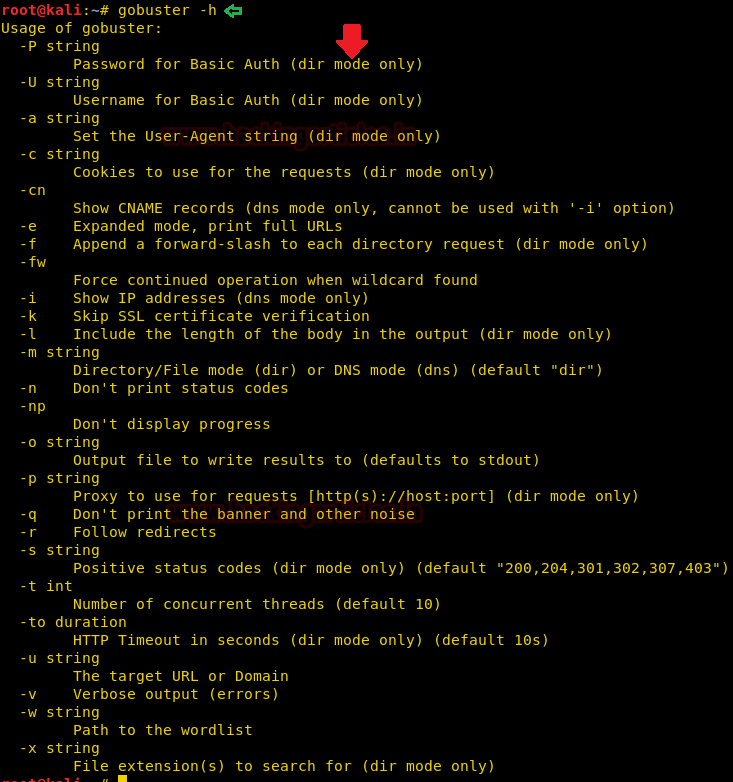 Comprehensive Guide on Gobuster Tool – CEH v13 AI – CEH VIETNAM